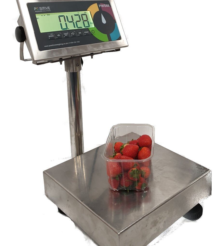 Static Checkweighing Archives - Positive Weighing Solutions